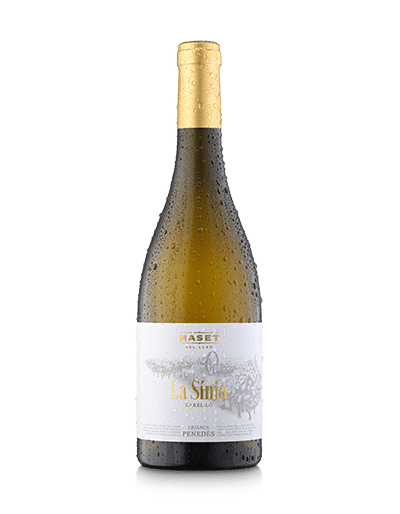 Vinos blancos de Bodegas Maset